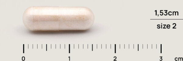 bacteflora® PLUS με Προβιοτικά Γαστρεντερικού